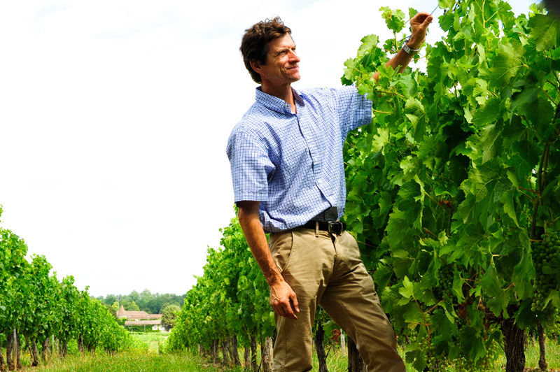 Bordeaux Family Values - Regal Wine Imports