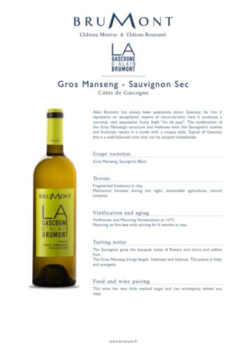 Brumont La Gascogne Cotes de Gascogne Blanc - Regal Wine Imports