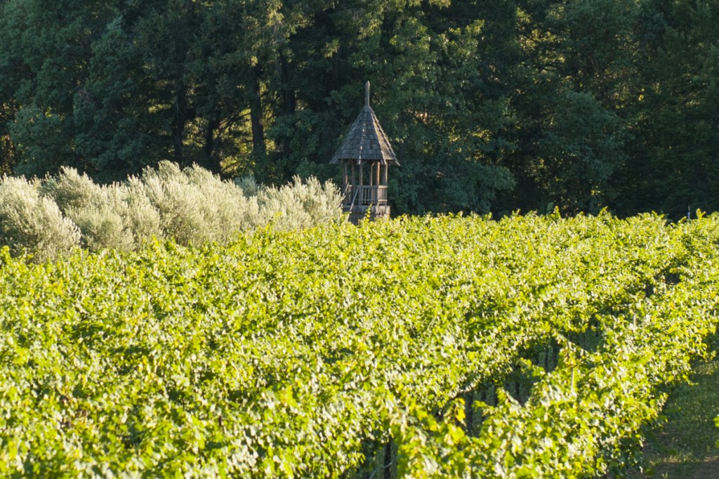 Know Your Farmer: Frey Vineyards - Regal Wine Imports