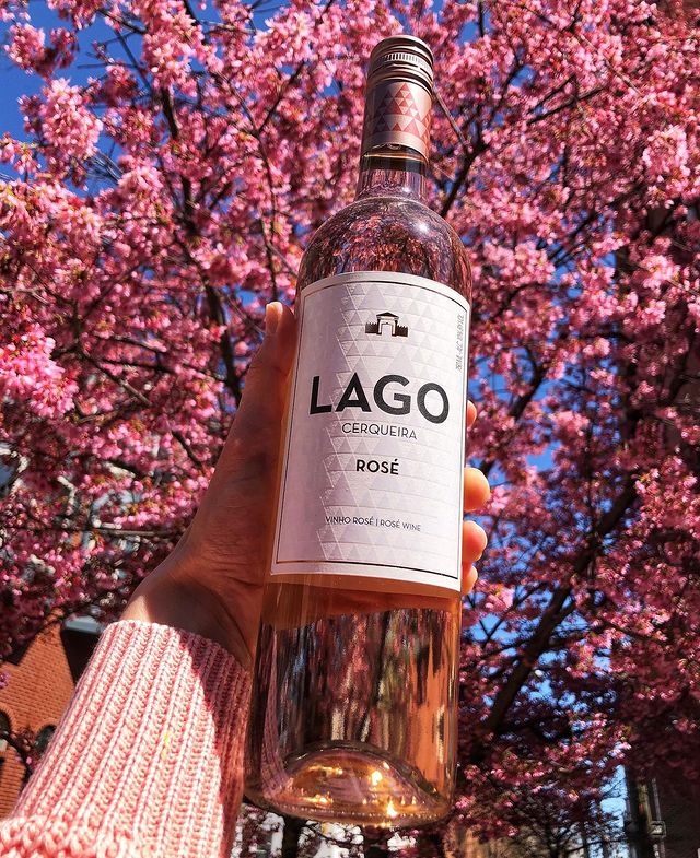 Lago Vinho Verde Rose - Regal Wine Imports