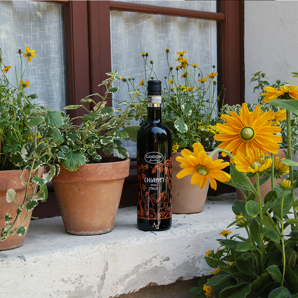 Candoni Chianti - Regal Wine Imports