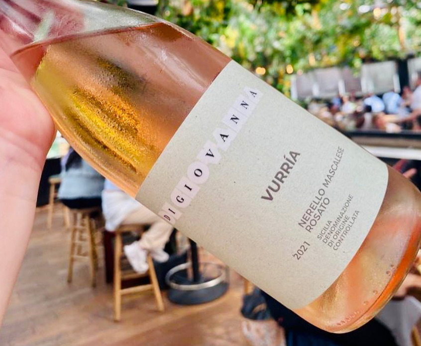 Just Getting Into Wine? These Are The Best Wines To Get You Started ...
