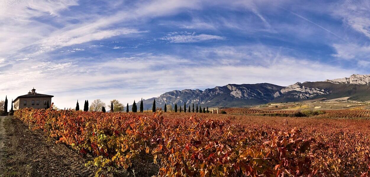 Explore Spain with 9 Amazing Riojas Up to 92 Points - Regal Wine Imports